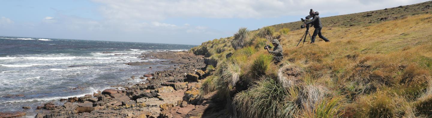 BFBS Creative, Award winning Digital Creative Agency | Creative